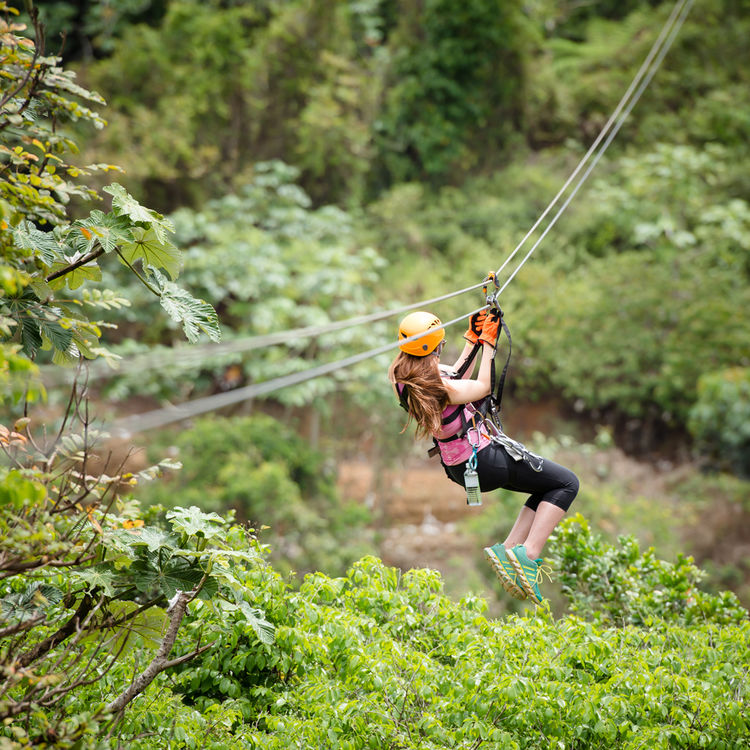 Puerto Rico - Condor