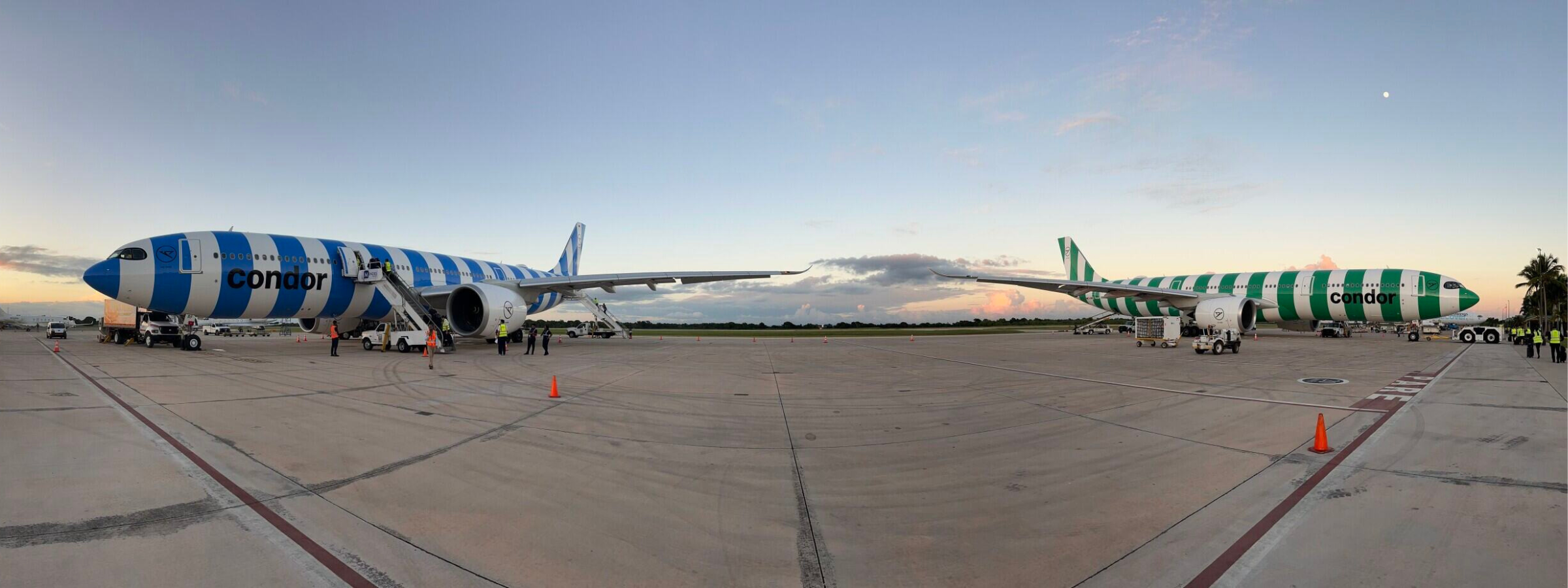 Condor-Streifen: Unser ikonisches Design und seine Geschichte