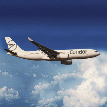 Unsere Flotte - Condor