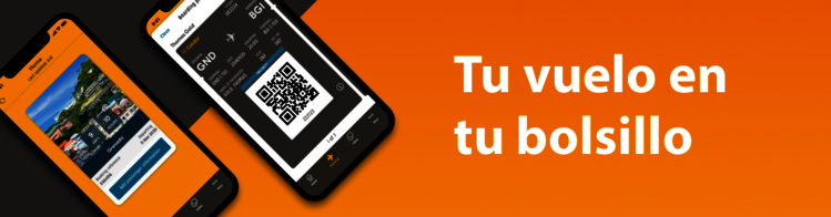 Aplicación Movil - Condor