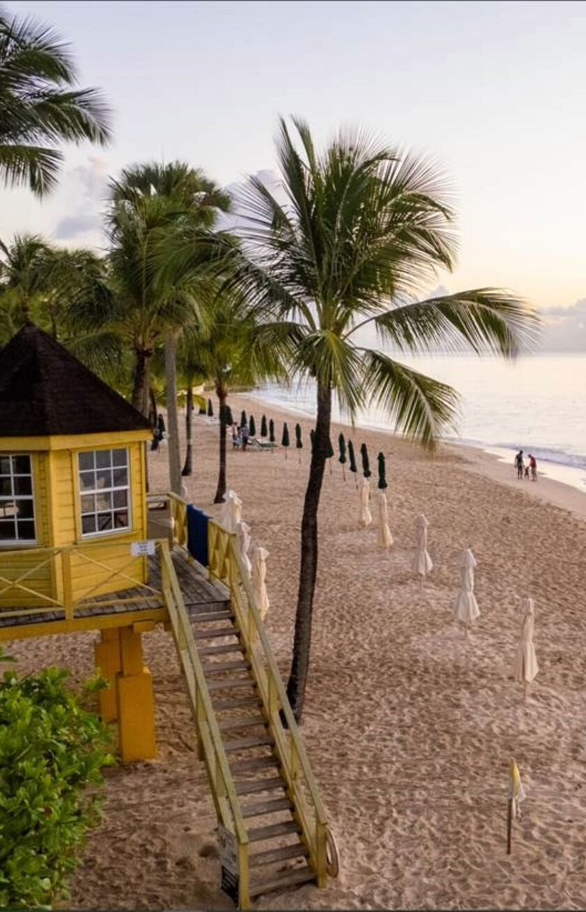 Cheap Flights | Discover Unbeatable Deals | Condor