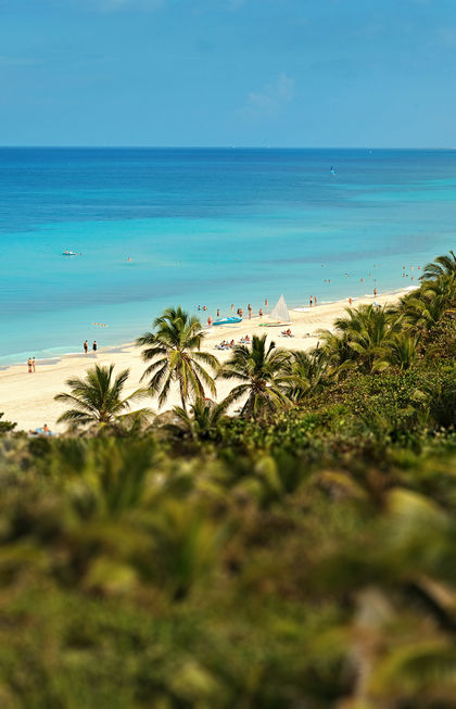 Book & Plan - Condor